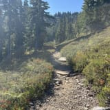 High Divide and Seven Lakes Basin Loop, Washington - 1,182 Reviews, Map ...