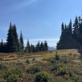 High Divide and Seven Lakes Basin Loop, Washington - 1,182 Reviews, Map ...