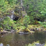 Tonsina Creek Trail, Alaska - 1,319 Reviews, Map | AllTrails