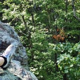 Hideout Hollow Trail, Arkansas - 534 Reviews, Map | AllTrails