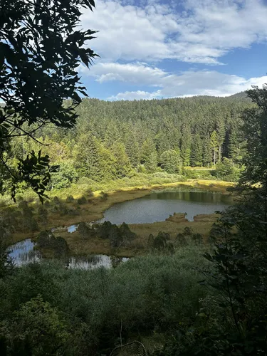 Best Hikes and Trails in Réserve naturelle du lac Luitel | AllTrails