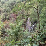 Lewis Spring Falls Trail, Virginia - 1,295 Reviews, Map | AllTrails