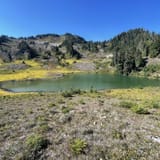 High Divide and Seven Lakes Basin Loop, Washington - 1,182 Reviews, Map ...