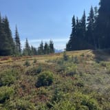 High Divide and Seven Lakes Basin Loop, Washington - 1,194 Reviews, Map ...