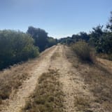 The Meadows Slough Trail, California - 449 Reviews, Map | AllTrails