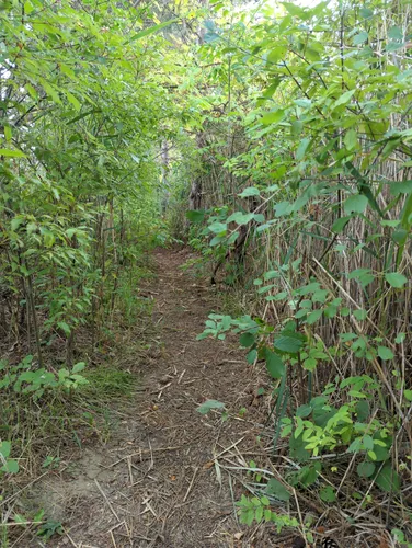 Best Hikes and Trails in Kelly Lake Park | AllTrails