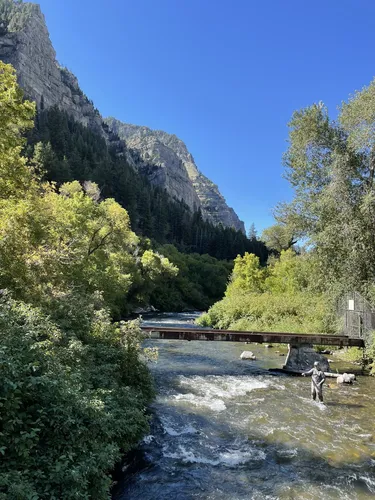 Best Hikes and Trails in Provo Canyon | AllTrails