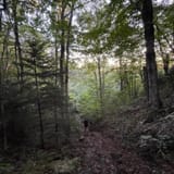 Debar Mountain Trail, New York - 202 Reviews, Map | AllTrails