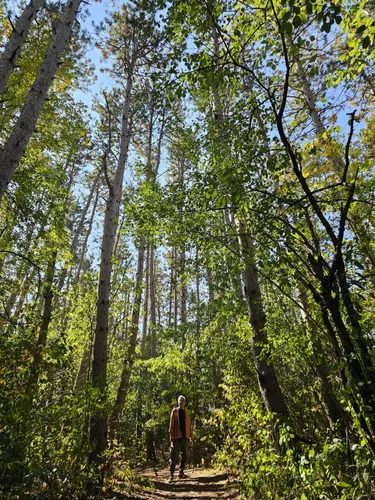 Best Hikes and Trails in Belwin Conservancy: Tallgrass Trails | AllTrails