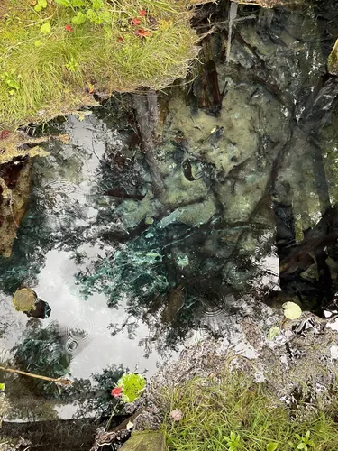 Sulphur Spring Conservation Area: de beste routes om te wandelen ...