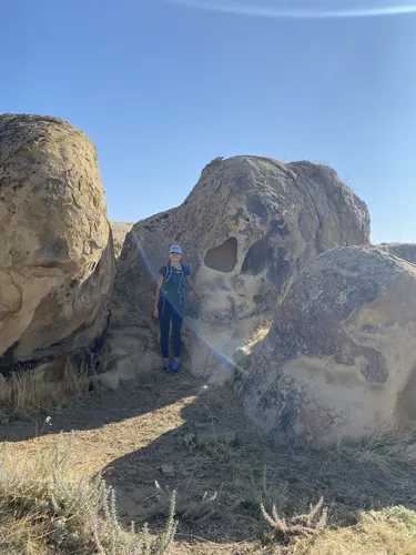 2023 Best Walking Trails in Wind Wolves Preserve | AllTrails