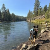 Good Dog and River Trail Loop, Oregon - 1,445 Reviews, Map | AllTrails