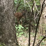 SIUE Nature Preserve Loop, Illinois - 619 Reviews, Map | AllTrails