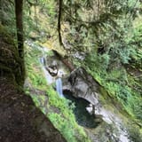 Racehorse Falls Loop, Washington - 66 Reviews, Map | AllTrails