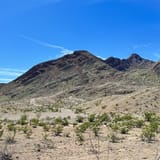 Frenchman Mountain Trail, Nevada - 1,209 Reviews, Map | AllTrails