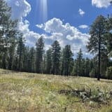 Mars Hill Trail Loop, Arizona - 1,365 Reviews, Map | AllTrails
