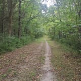 Busch Wildlife Biking-Hiking Trail, Missouri - 728 Reviews, Map | AllTrails