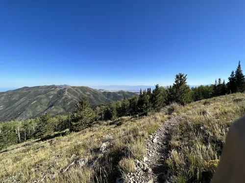 Best Hikes and Trails in Copperton | AllTrails