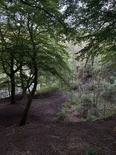 2023 Best Bird Watching Trails in Daisy Nook Country Park | AllTrails