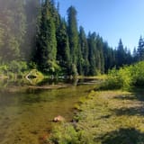 June Lake Trail, Washington - 833 Reviews, Map | AllTrails