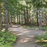 June Lake Trail, Washington - 833 Reviews, Map | AllTrails