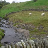 Tebay Fell Circular, Cumbria, England - 5 Reviews, Map | AllTrails