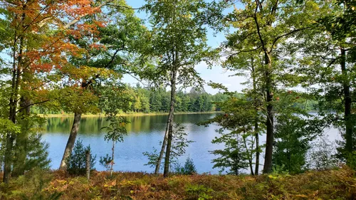 Best Hikes and Trails in Barron County Forest | AllTrails