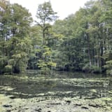 Greenfield Lake Park Trail, North Carolina - 715 Reviews, Map | AllTrails