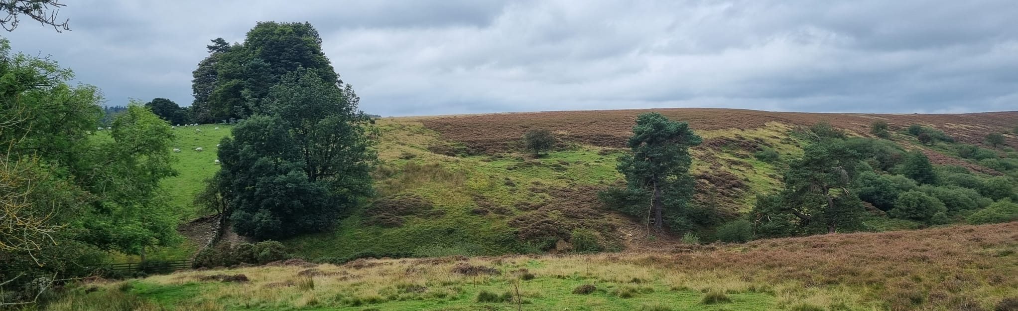 Hutton-le-Hole and Lastingham: 192 foto's - North Yorkshire, Engeland ...