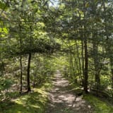 Mount Battie via Carriage Road Trail, Maine - 723 Reviews, Map | AllTrails
