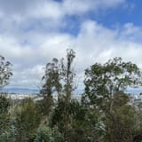 Mount Sutro Loop, California - 2,188 Reviews, Map | AllTrails