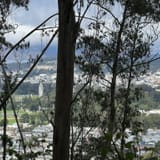 Mount Sutro Loop, California - 2,188 Reviews, Map | AllTrails