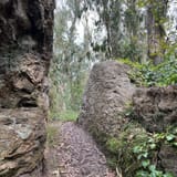 Mount Sutro Loop, California - 2,188 Reviews, Map | AllTrails