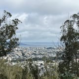 Mount Sutro Loop, California - 2,188 Reviews, Map | AllTrails