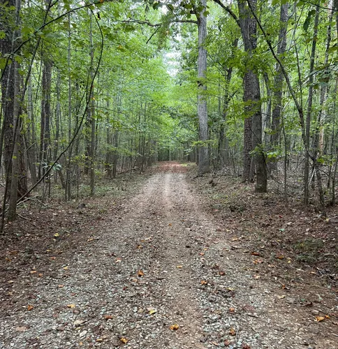 Best Hikes and Trails in Duke Forest | AllTrails