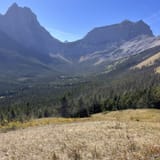 Wind Ridge Trail, Alberta, Canada - 1,193 Reviews, Map | AllTrails
