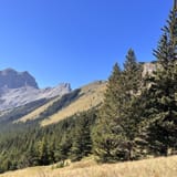 Wind Ridge Trail, Alberta, Canada - 1,193 Reviews, Map | AllTrails