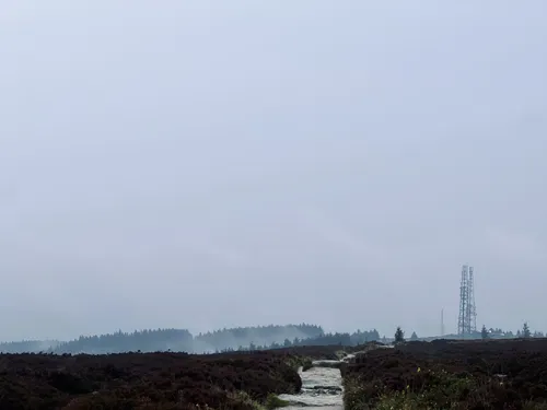 Best Hikes and Trails in Glencullen Adventure Park | AllTrails