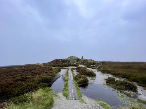 Best Hikes and Trails in Glencullen Adventure Park | AllTrails