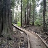 Lost Lake Loop (Lakeshore Trail), Oregon - 557 Reviews, Map | AllTrails
