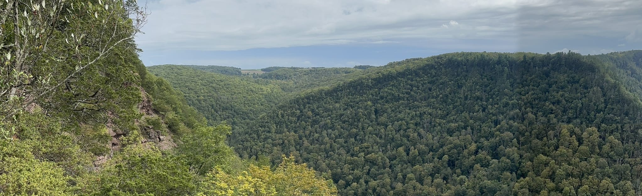 Tioga West Rim Trail, Pennsylvania - 483 Reviews, Map | AllTrails