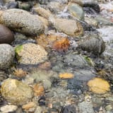 Hoyt Trail, California - 481 Reviews, Map | AllTrails