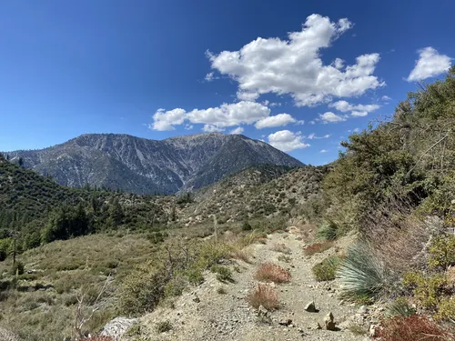 Best Walking Trails in Azusa | AllTrails