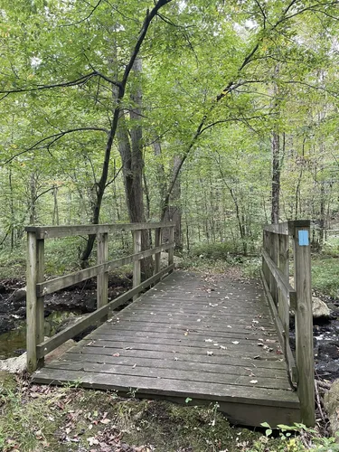 2023 Best Views Trails in Oak Ridge | AllTrails