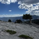 Mount Judah Loop Trail, California - 2,311 Reviews, Map | AllTrails