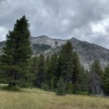 Blayney Meadow Hot Spring, California - 97 Reviews, Map | AllTrails