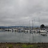 Bay Farm Island Loop Trail, California - 1,183 Reviews, Map | AllTrails