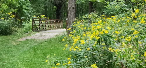 Best Hikes and Trails in Fort Daniel Conservation Area | AllTrails