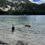 McLeod Lake Trail, California - 847 Reviews, Map | AllTrails
