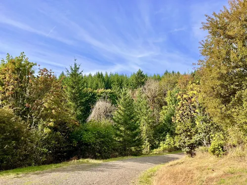 Best Hikes and Trails in Chehalem Ridge Natural Area | AllTrails